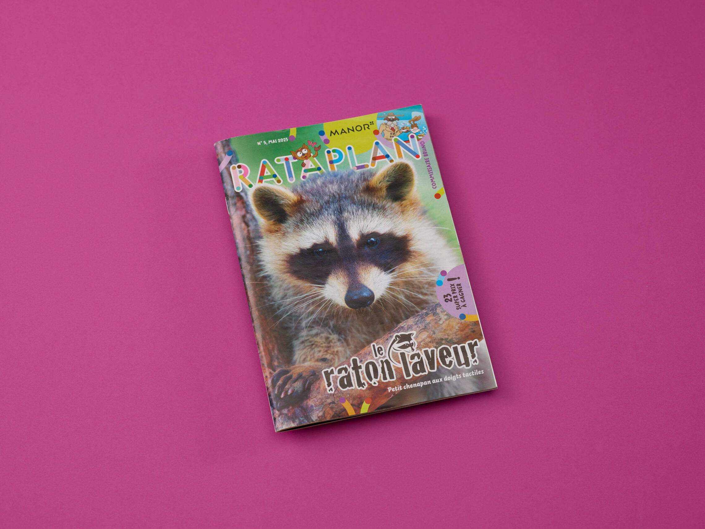 01 detail - National Museum Zurich