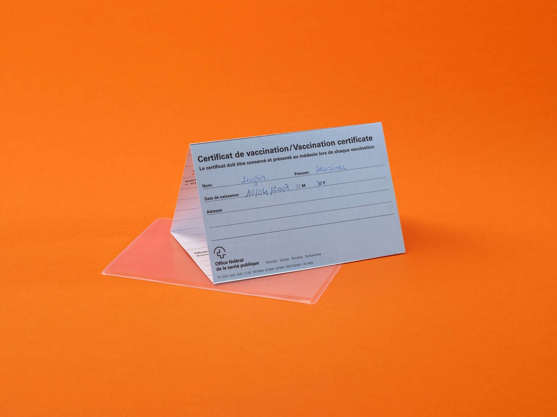 01 detail - National Museum Zurich