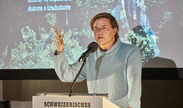 Ein romantischer Waldspaziergang