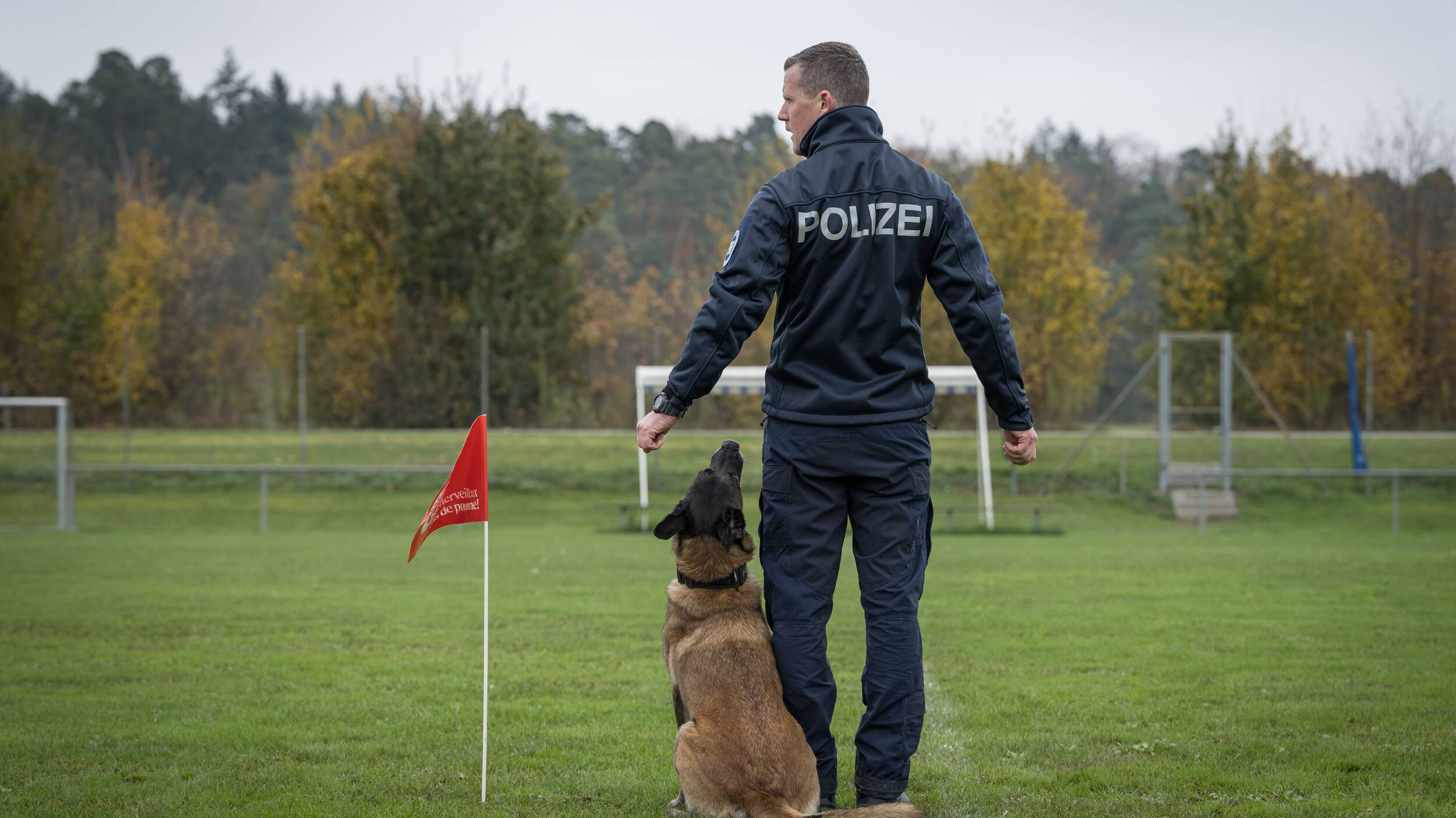 Polizeihünd - e gueti Nase, scharfi Ohre und schnelli Pfote